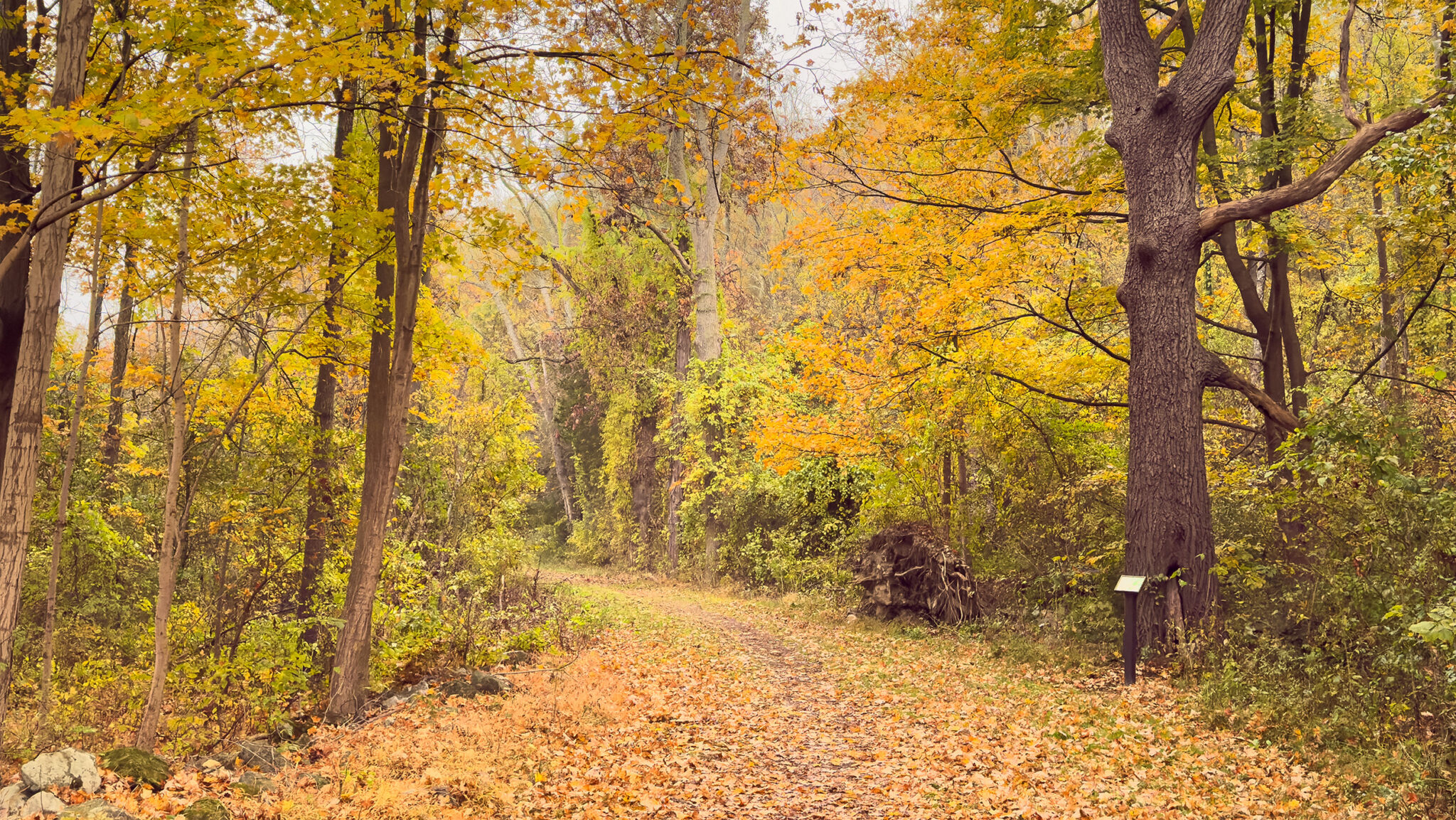 Best Hikes in Passaic County - See Passaic County